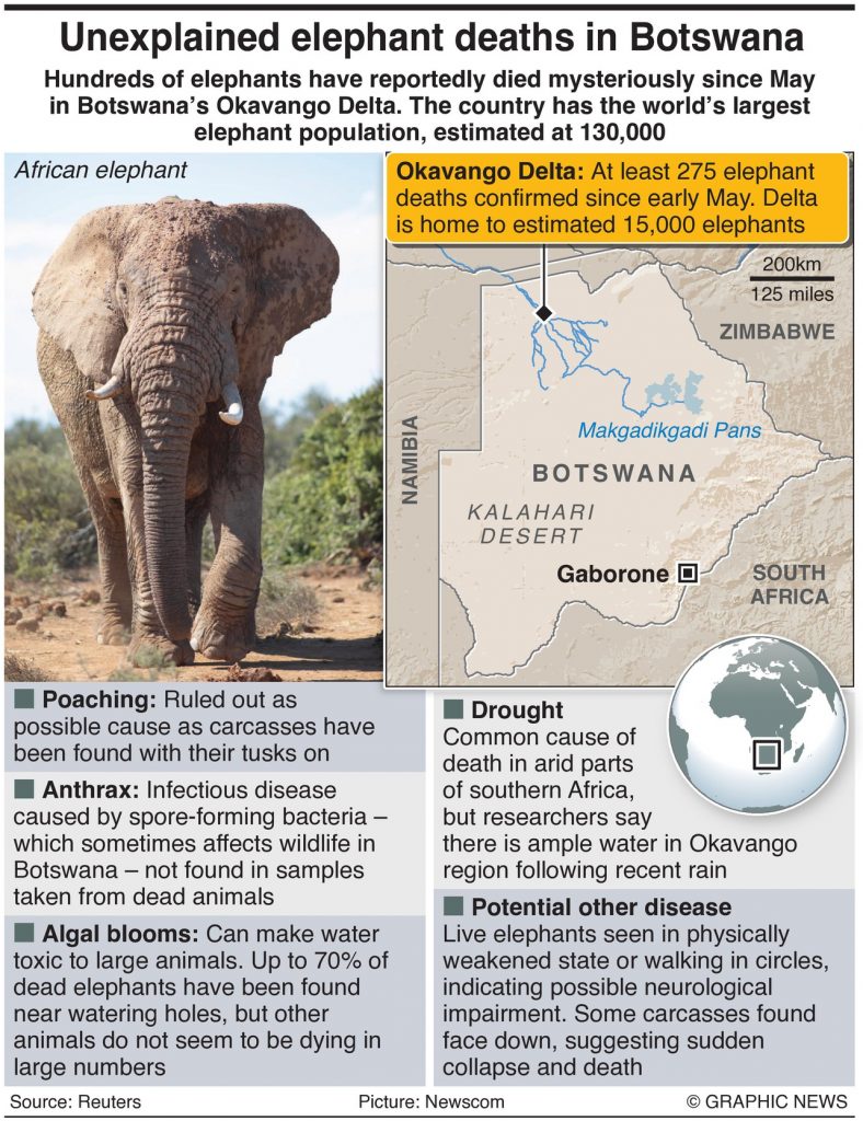 Botswana meldt mysterieuze dood van honderden olifanten… – Dagblad Suriname
