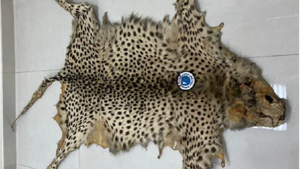 Internationale ‘Operation Thunder’ brengt illegale handel in wild en ...