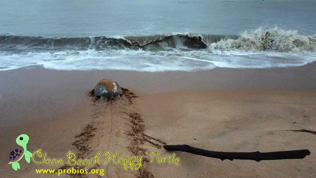 Probios verzorgt lezing in Nederland over negatieve gevolgen ...