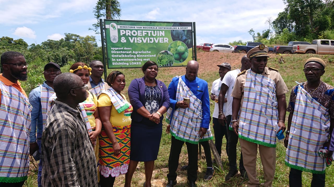 DAOB en Stichting Lokeo starten landbouw proeftuin in Brokopondo ...