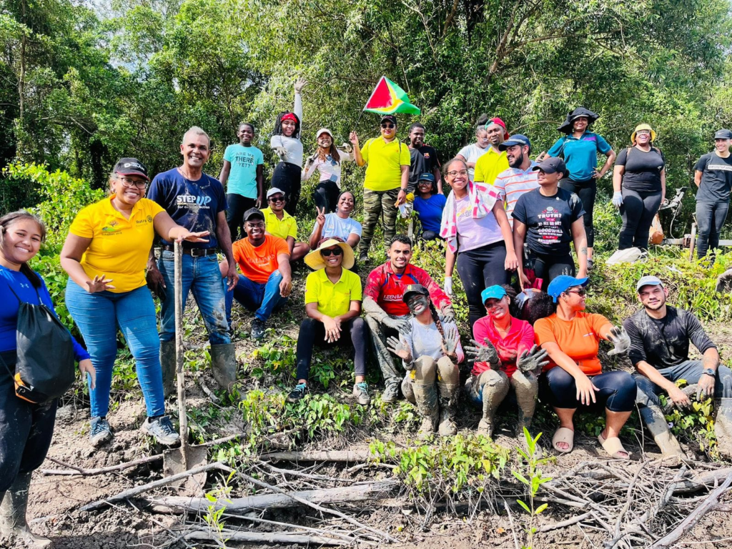 Rotaract club of Genesis plant mangrovebomen te Weg naar Zee – Dagblad ...