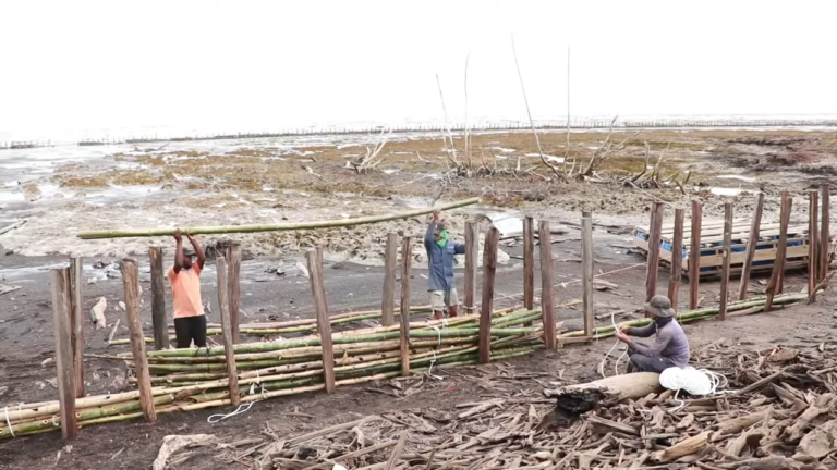 Kust rehabilitatieproject Weg naar Zee verloopt gestaag – Dagblad Suriname