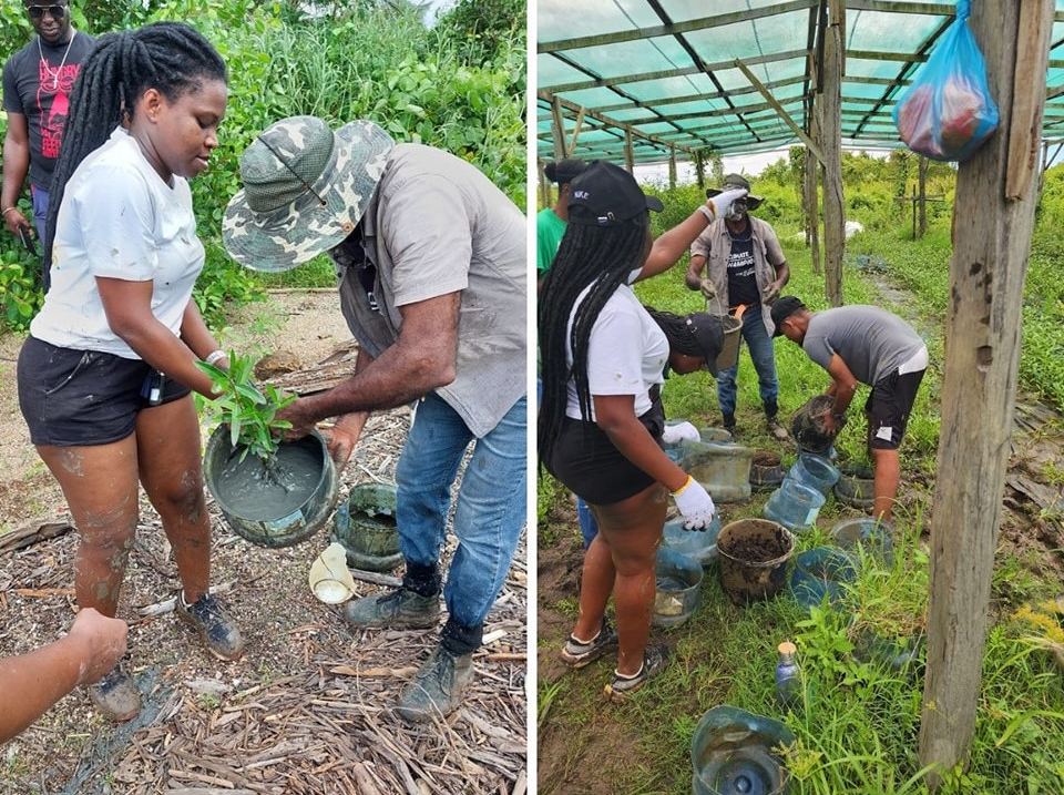 JCI Unify doet kick-off Green Week 2023 – Dagblad Suriname
