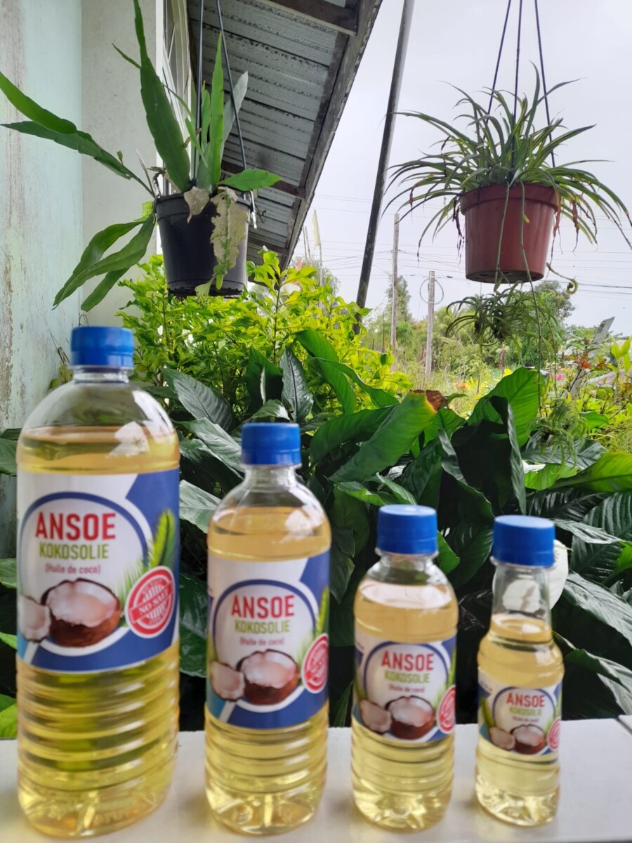 Ondernemer over mogelijkheden in de landbouw: “We importeren kokos en manja’s uit Guyana ...