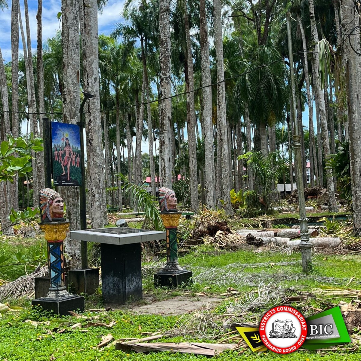 Directoraat OGA pakt Palmentuin aan – Dagblad Suriname