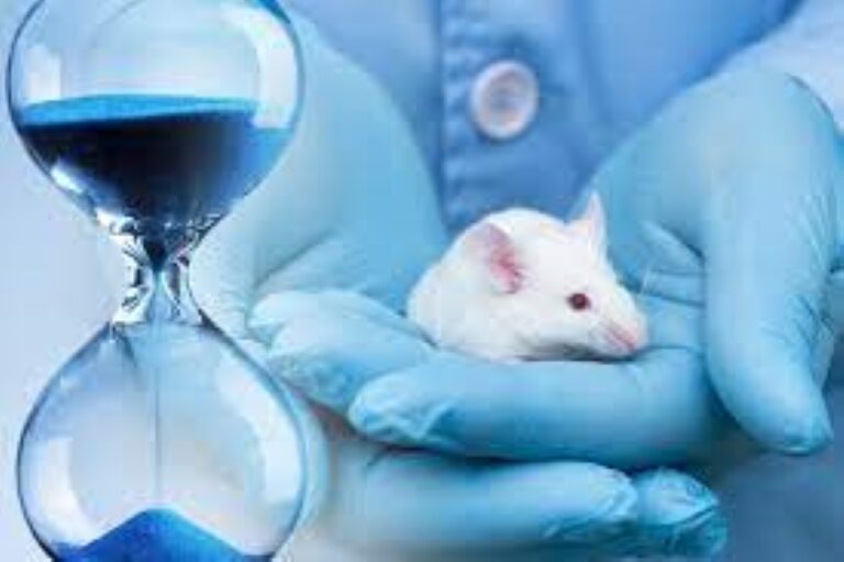 Medicijn verlengt levensduur proefdieren, onderzoekers ‘hoopvol’ voor ...