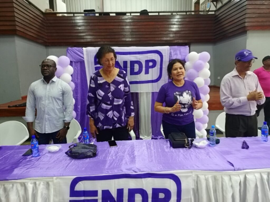 Nieuw gekozen NDP-voorzitter Jenny Simons zoekt draagvlak in buurten ...