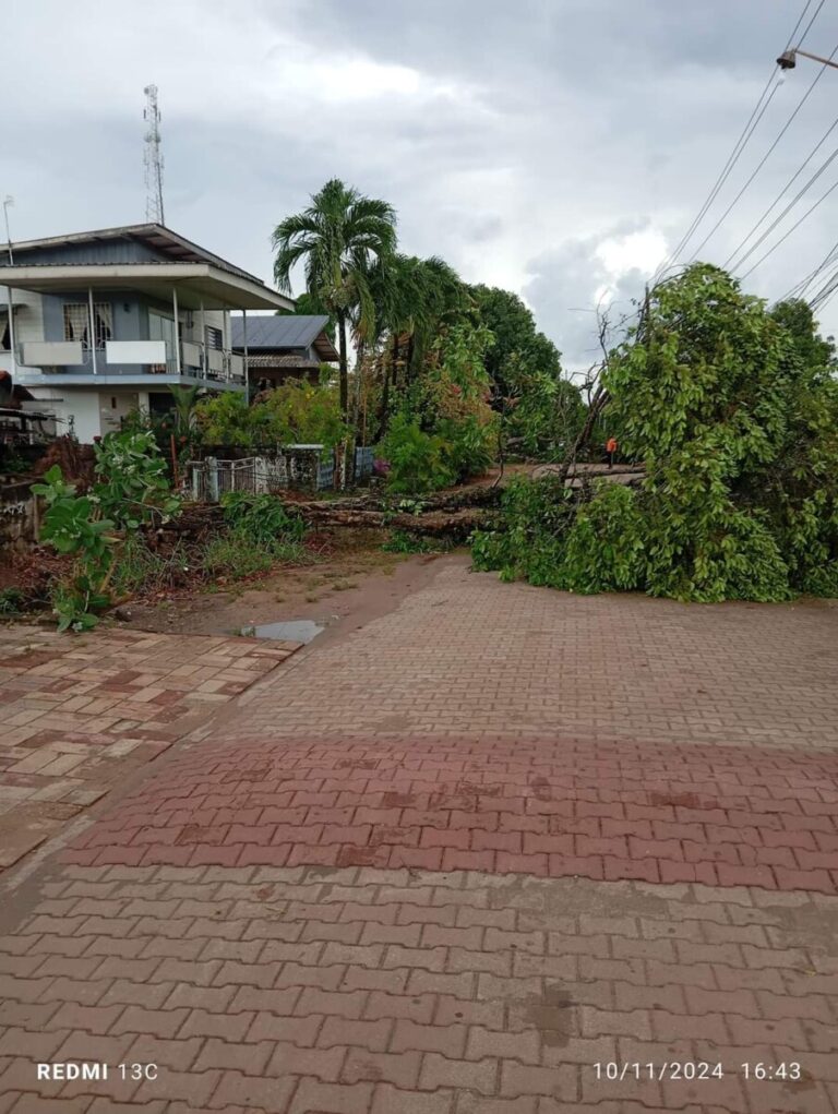 Rukwinden verstoren leven in La Vigilantia/Paranam – Dagblad Suriname