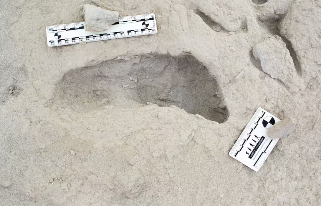 Voetsporen bewijzen dat twee prehistorische mensachtigen naast elkaar leefden – Dagblad Suriname