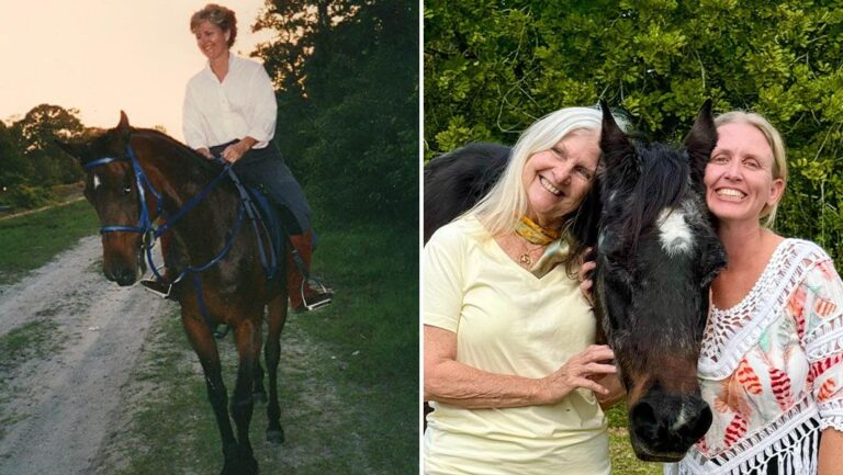 Opmerkelijk – Mokie, oudste paard ter wereld, op 40-jarige leeftijd ...