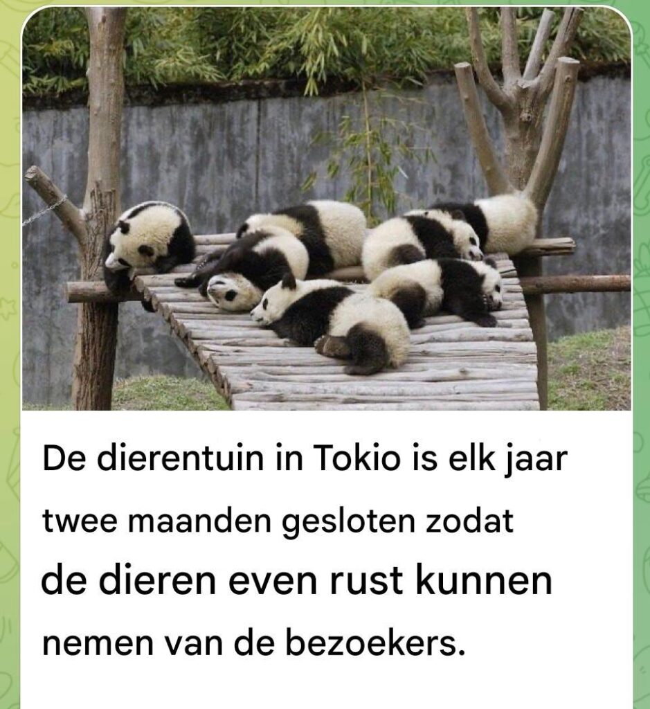 Arthur Hamilton, componist van ‘Cry Me a River’, overleden (98 ...